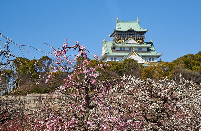 Osaka Castle Park Guide Map
